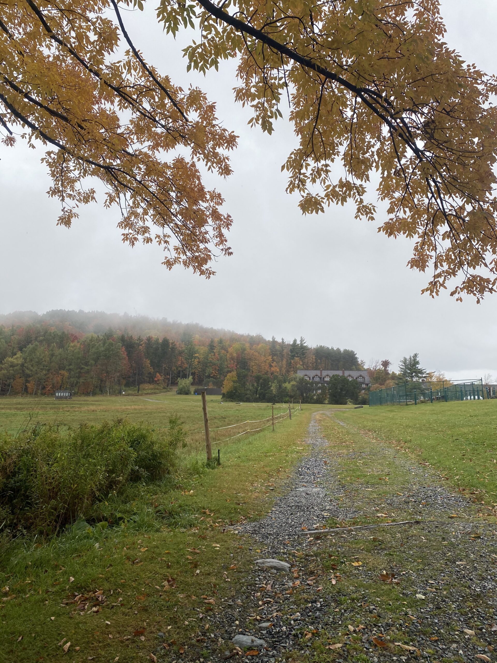 Go With Your Best Friends To Vermont - Ms Taylor Phillips